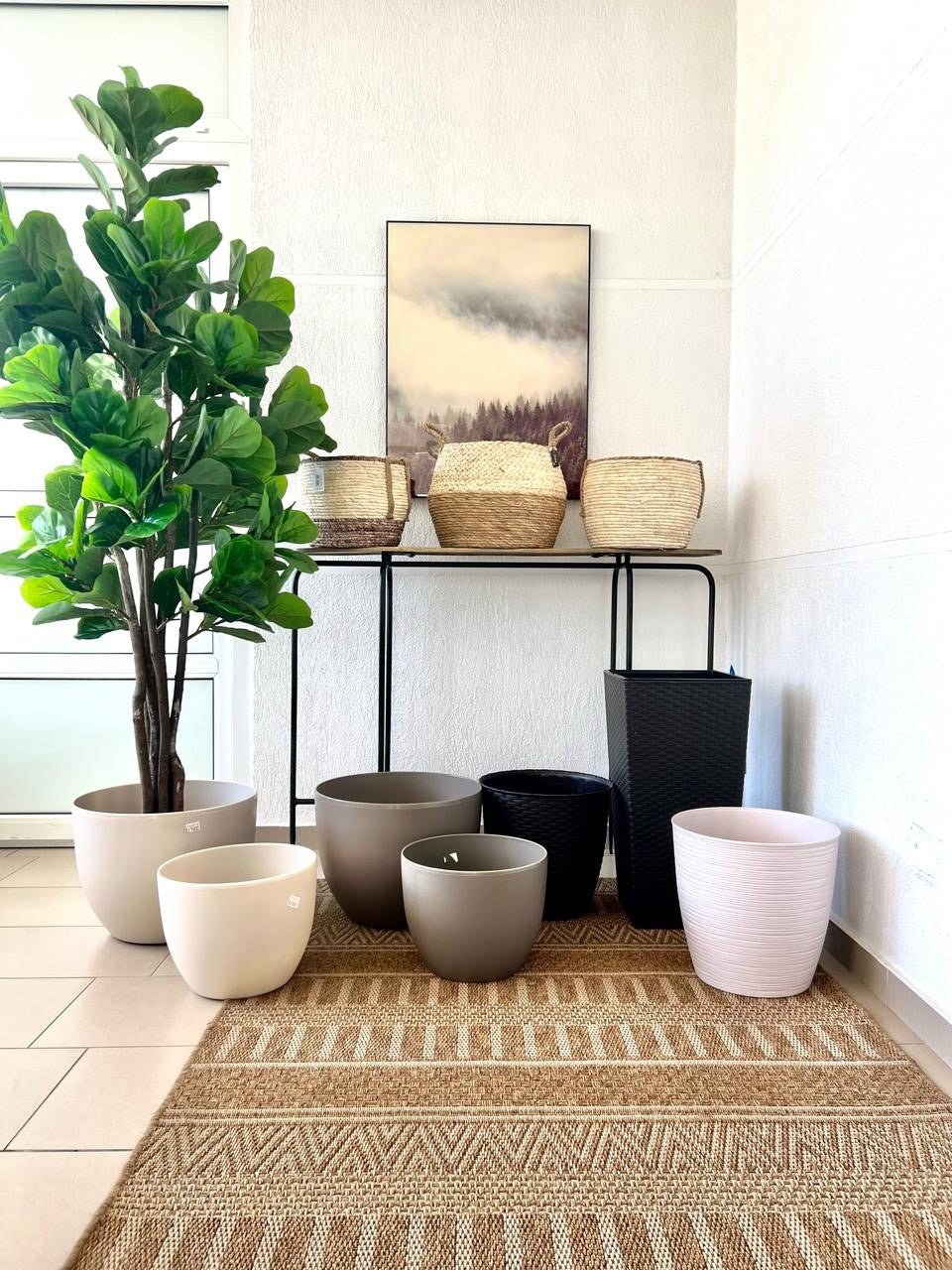 Maceteros – Arbusto Real